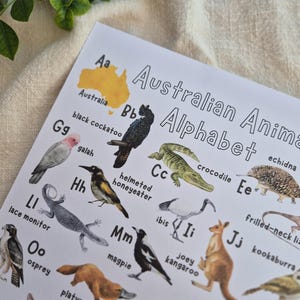 Australian Animal Alphabet, Alphabet Printable, Alphabet Poster, Animal ...