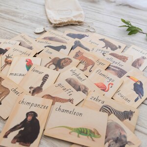 Wooden Flash Cards, Jungle Animals, Animal Flash Cards, Language ...