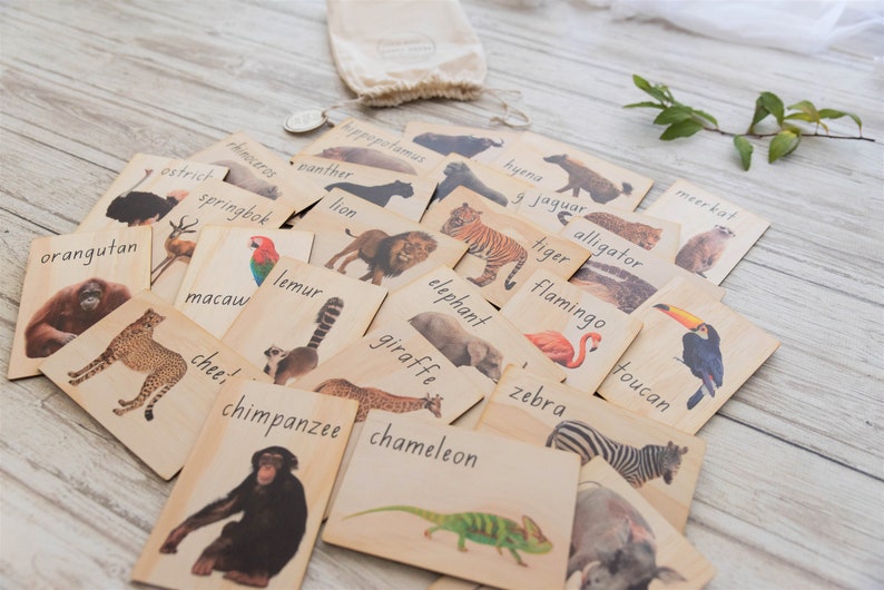 Wooden Flash Cards, Jungle Animals, Animal Flash Cards, Language ...