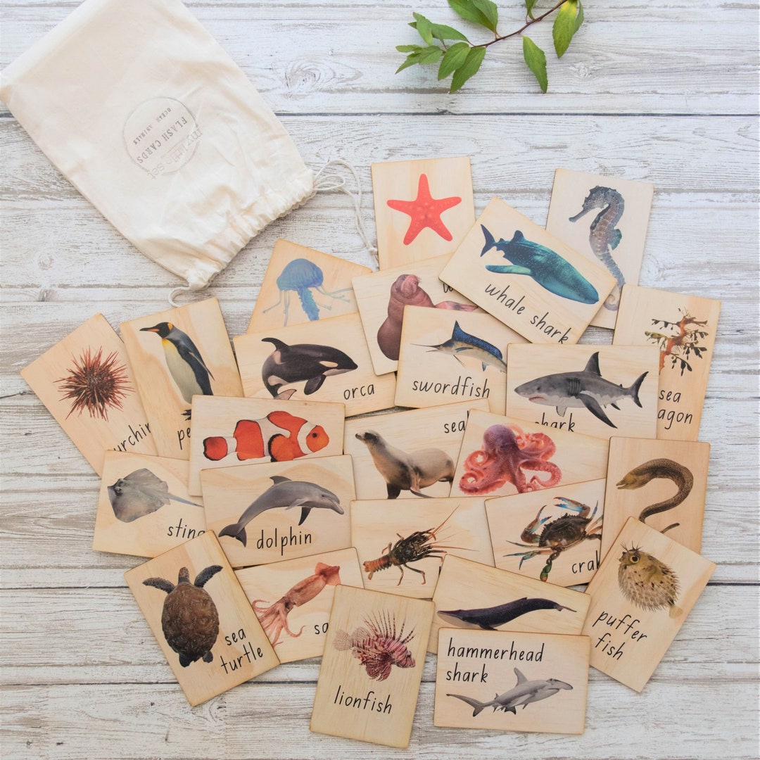 Wooden Flash Cards, Ocean Animals, Animal Flash Cards, Language ...