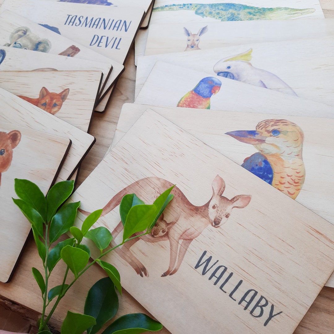 Wooden Flash Cards, Australian Animals, Animal Flash Cards, Language ...