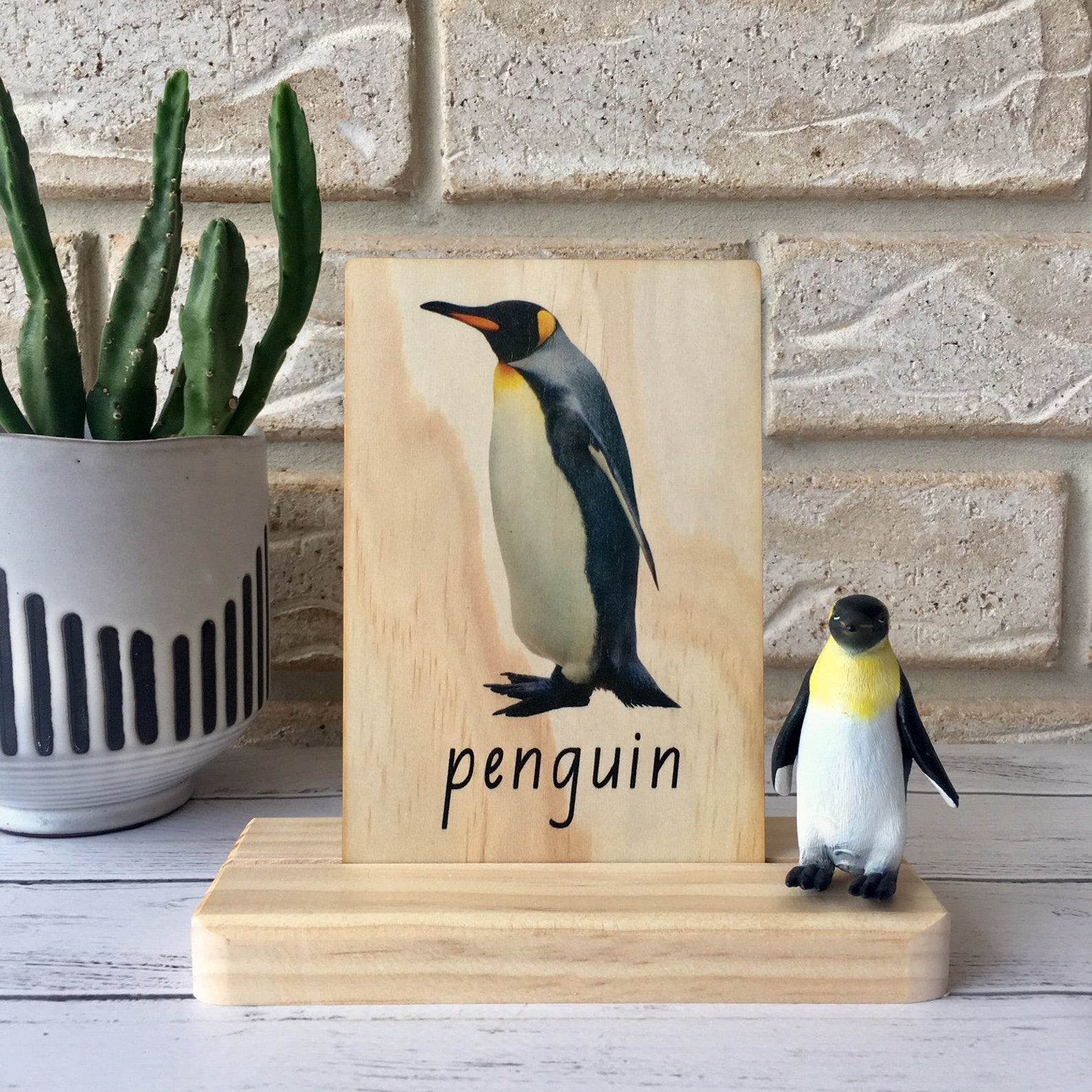 Wooden Flash Cards Ocean Animals Animal Flash Cards - Etsy