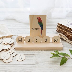 Wooden Flash Cards, Jungle Animals, Animal Flash Cards, Language ...