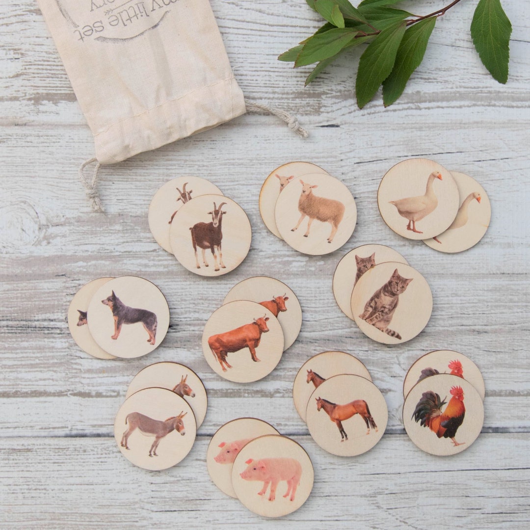Memory Match, Farm Animals, Memory Game, Australian Animals, Activities ...