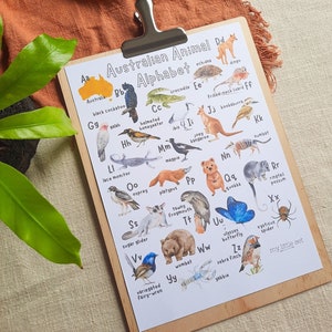 Australian Animal Alphabet, Alphabet Printable, Alphabet Poster, Animal ...