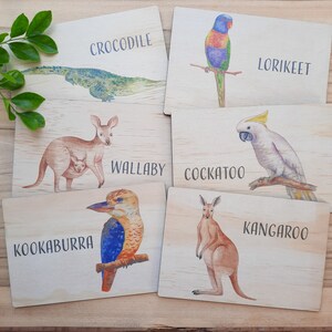 Wooden Flash Cards, Australian Animals, Animal Flash Cards, Language ...