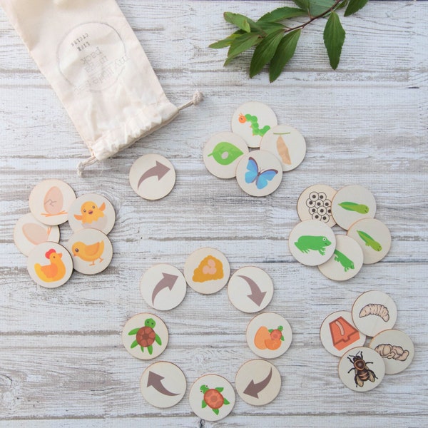 Life Cycle Puzzle - Etsy