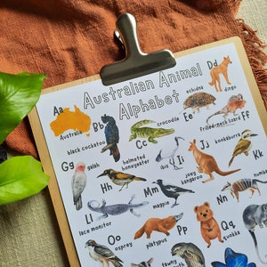 Australian Animal Alphabet, Alphabet Printable, Alphabet Poster, Animal ...