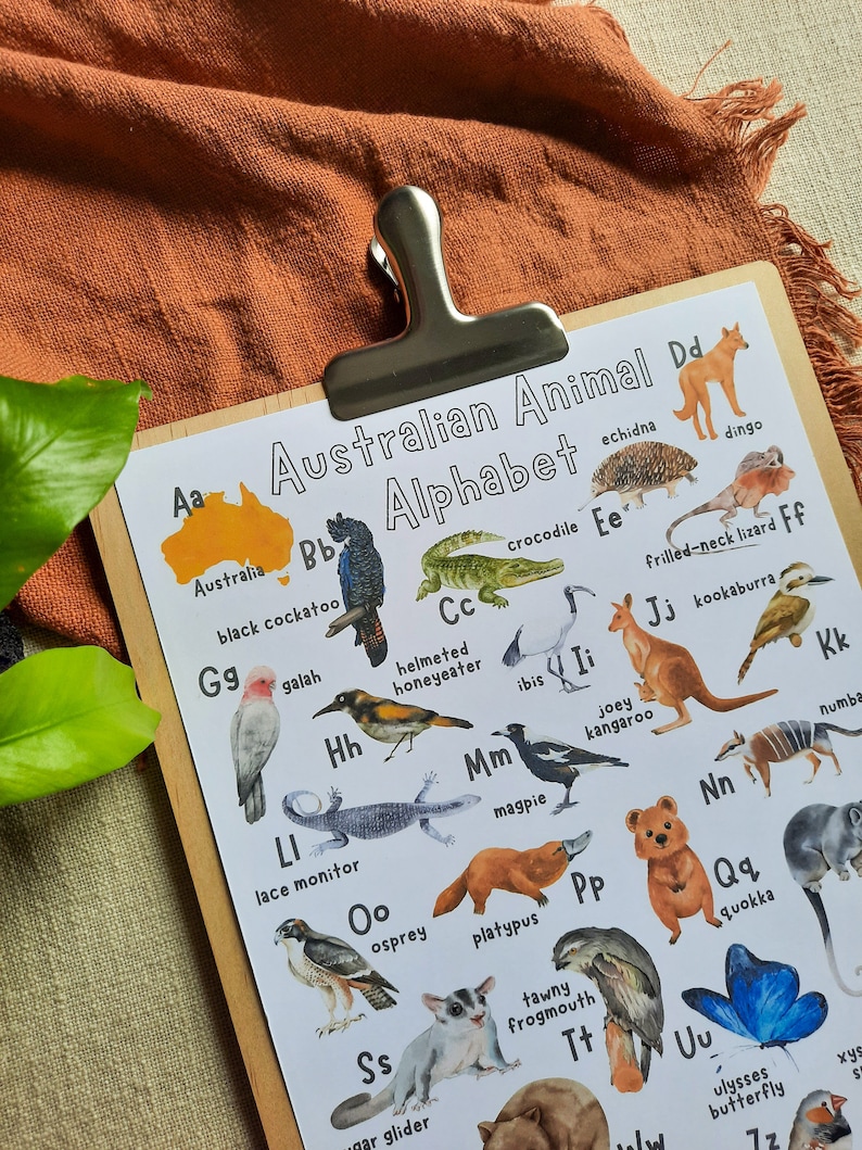 Australian Animal Alphabet, Alphabet Printable, Alphabet Poster, Animal Poster, Educational ...