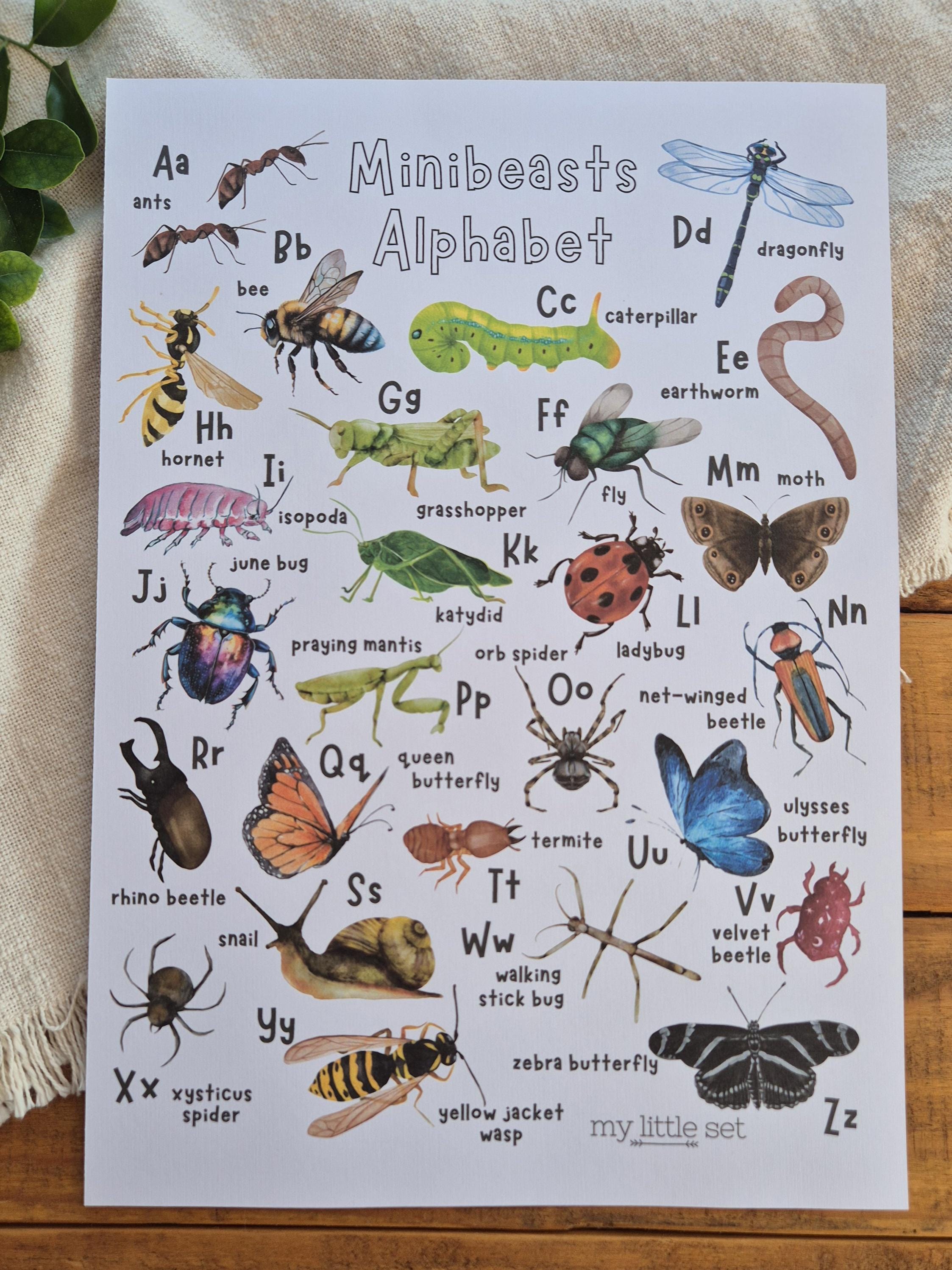 Minibeasts, Alphabet Prints, Alphabet Printable, Alphabet Poster ...