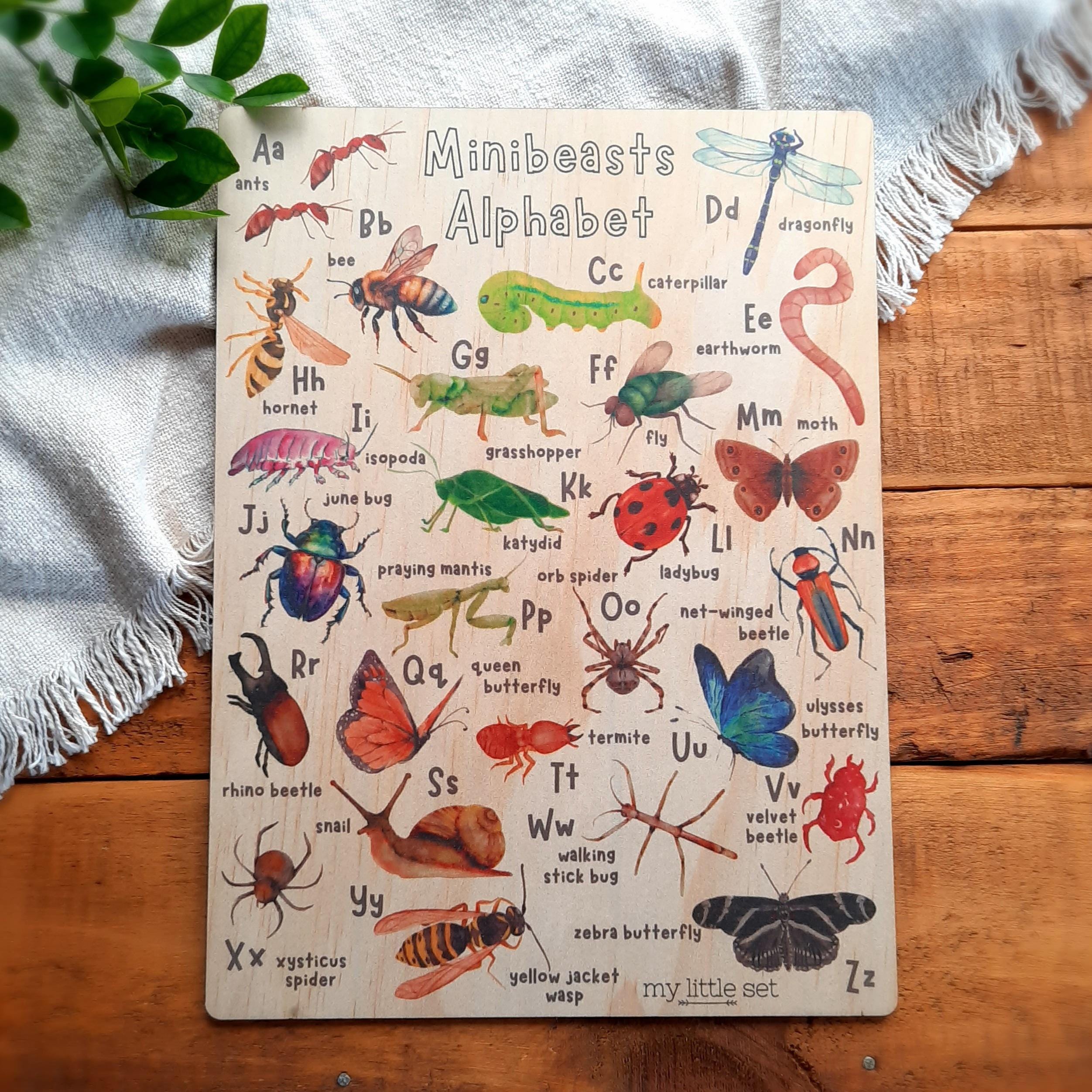 Minibeasts, Alphabet Poster, Animal Poster, Educational Posters for ...