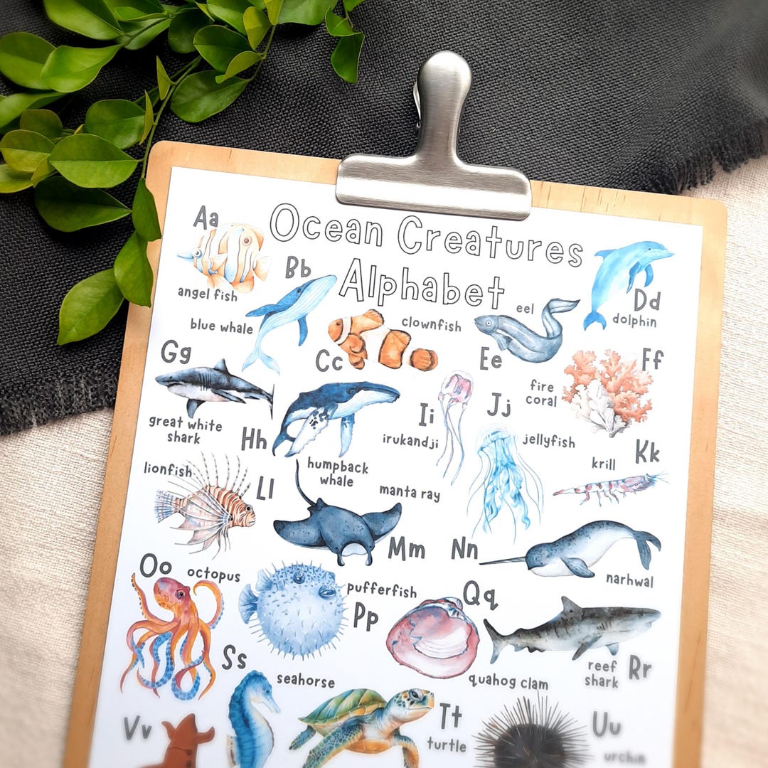 Ocean Alphabet, Alphabet Printable, Alphabet Poster, Animal Poster ...