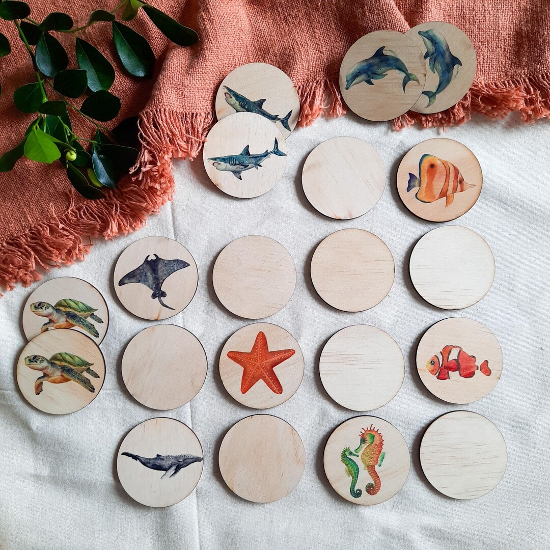 Memory Match, Sea Life, Memory Game, Birthday Gift Ideas, Activities ...