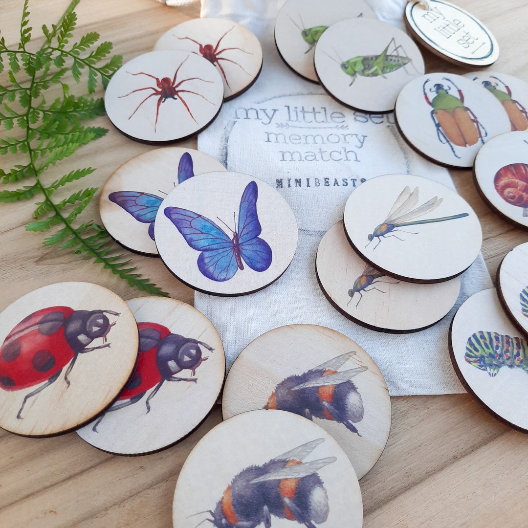 Memory Match, Minibeasts, Memory Game, Bug Lover, Activities for Kids ...