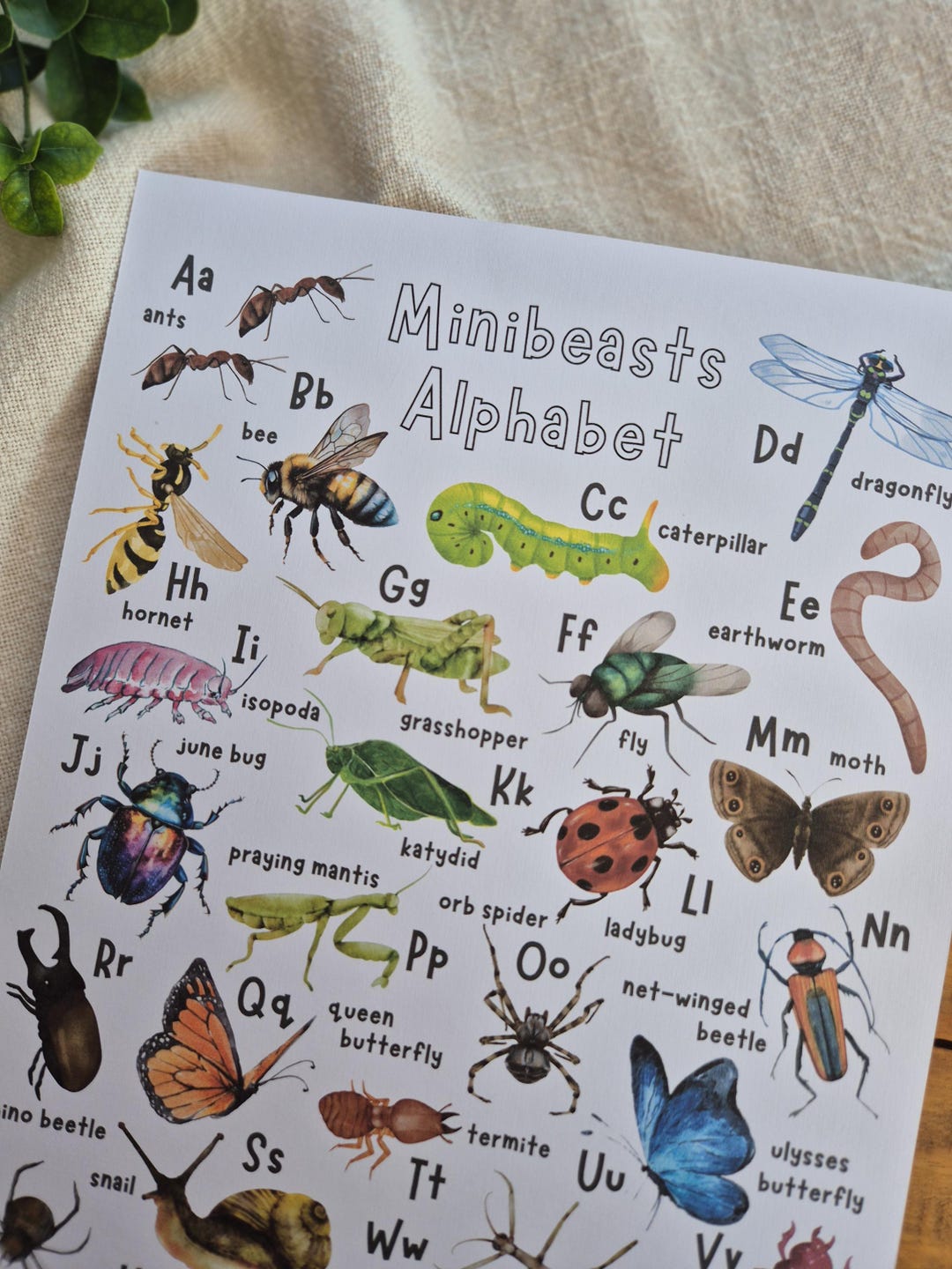 Minibeasts, Alphabet Prints, Alphabet Printable, Alphabet Poster ...