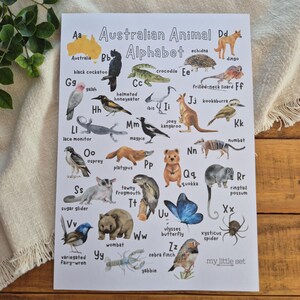 Australian Animal Alphabet, Alphabet Printable, Alphabet Poster, Animal ...