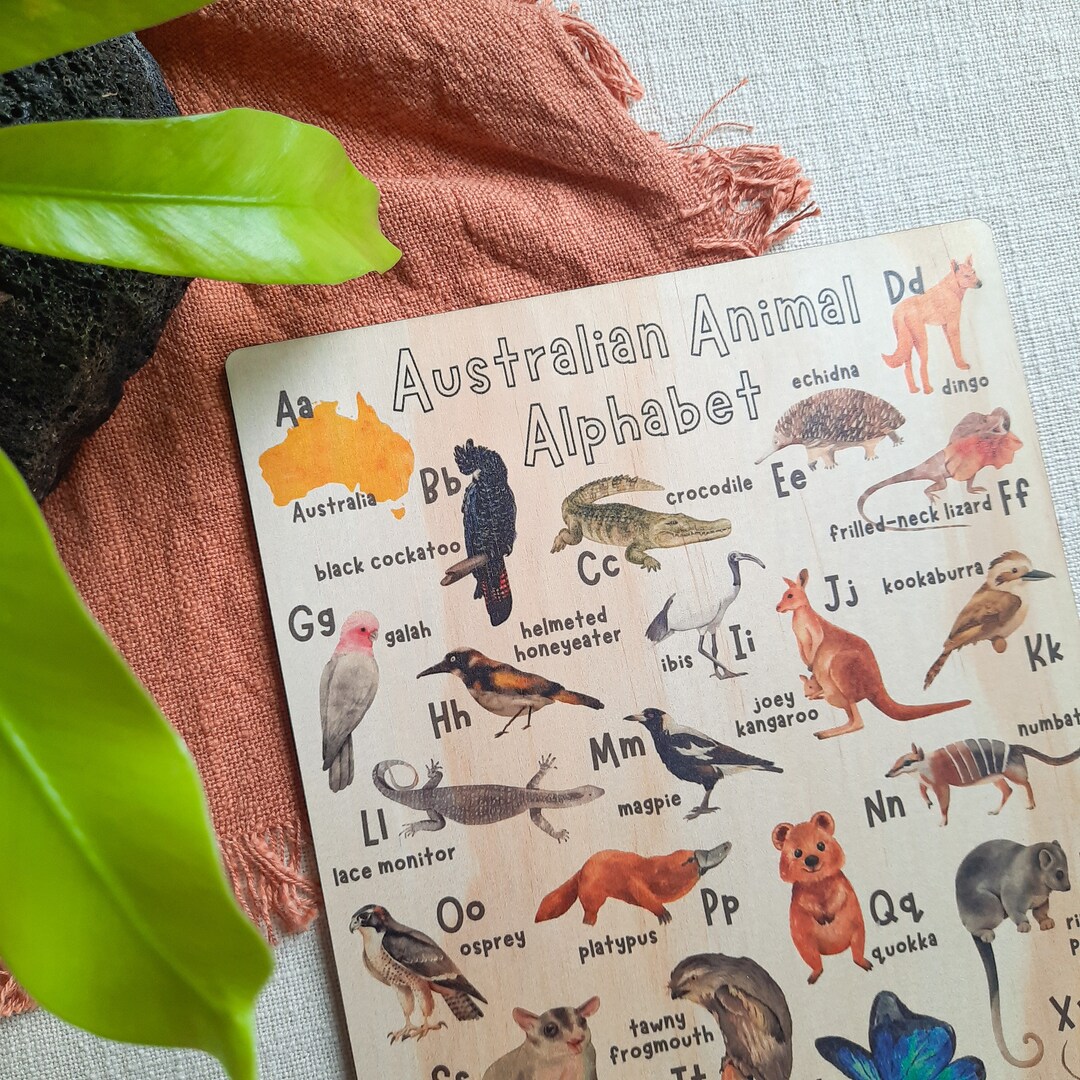 Australian Animal Alphabet, Alphabet Poster, Animal Poster, Educational ...