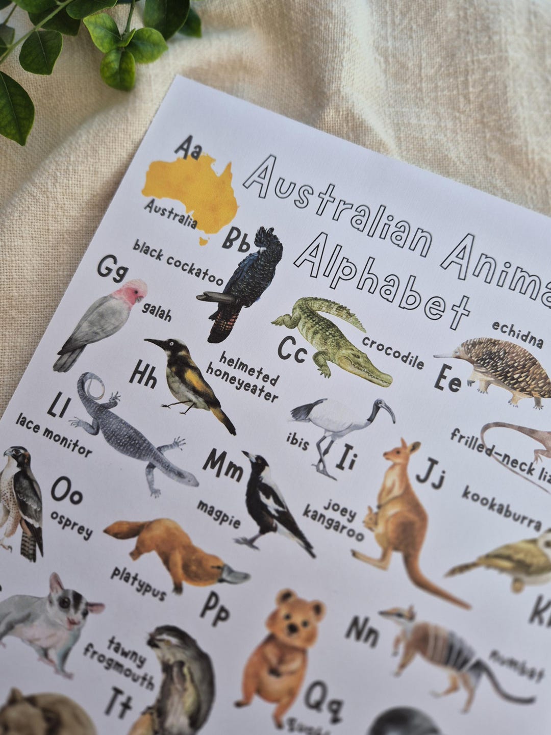 Australian Animal Alphabet, Alphabet Printable, Alphabet Poster, Animal ...