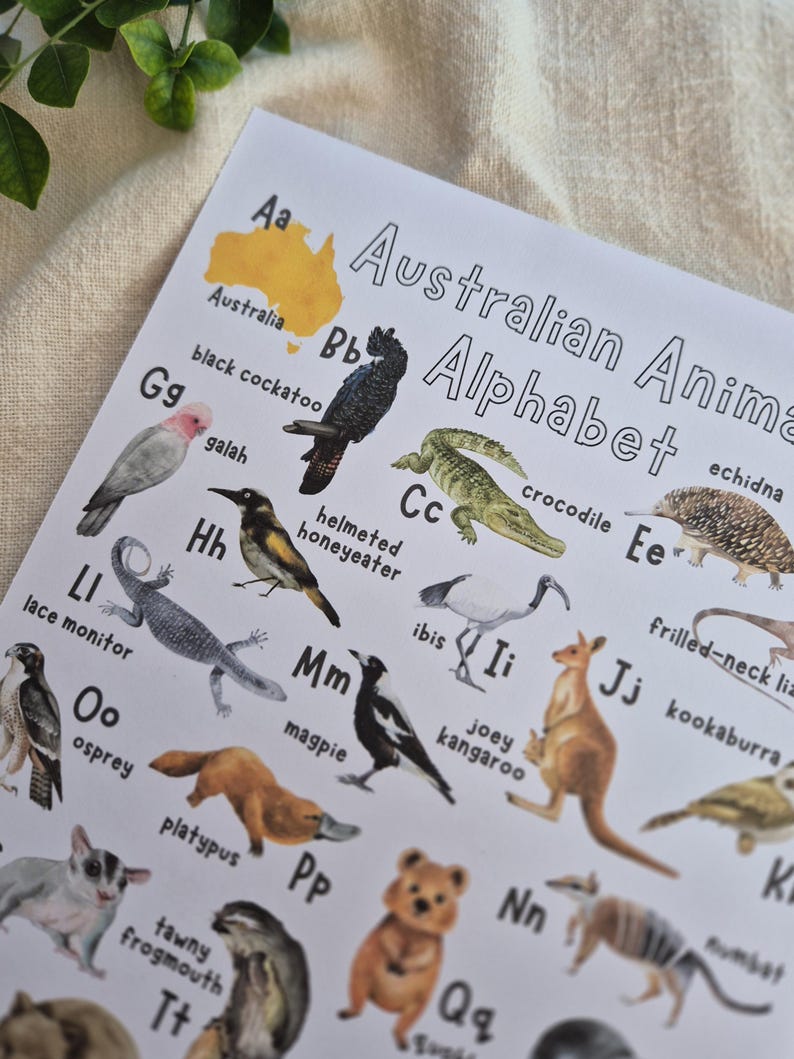 Australian Animal Alphabet, Alphabet Printable, Alphabet Poster, Animal Poster, Educational ...