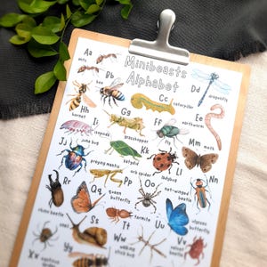 Ocean Alphabet, Alphabet Printable, Alphabet Poster, Animal Poster ...