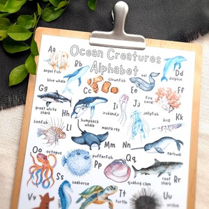 Ocean Alphabet, Alphabet Printable, Alphabet Poster, Animal Poster ...