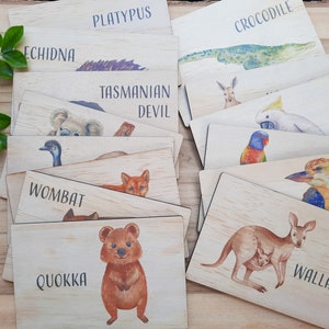 Wooden Flash Cards, Australian Animals, Animal Flash Cards, Language ...