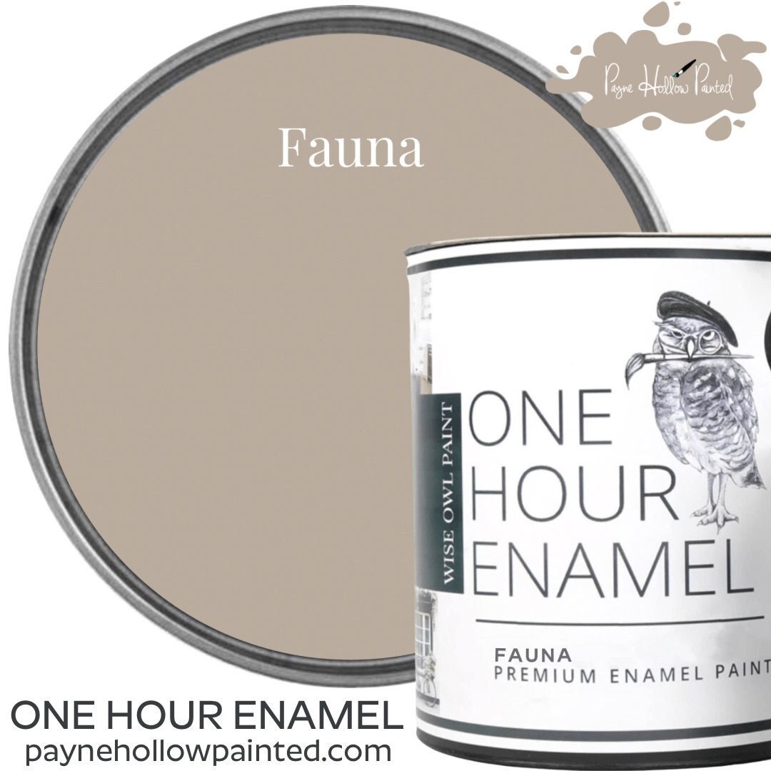 FAUNA • One Hour Enamel • Wise Owl Paint • Upcycled Furniture • Cabinet ...