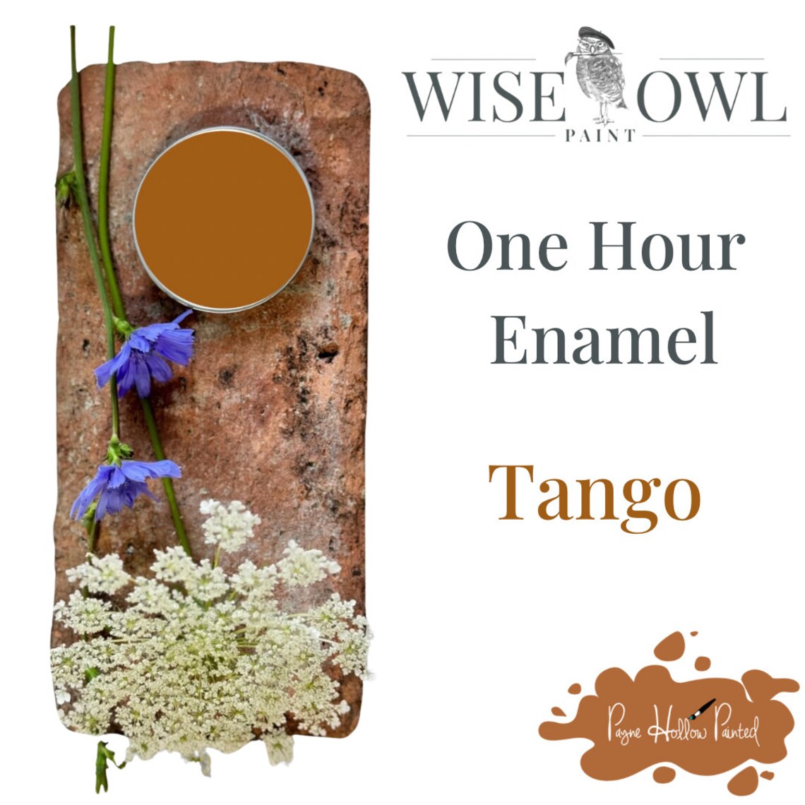 TANGO • One Hour Enamel • Wise Owl Paint • Upcycled Furniture • Cabinet ...