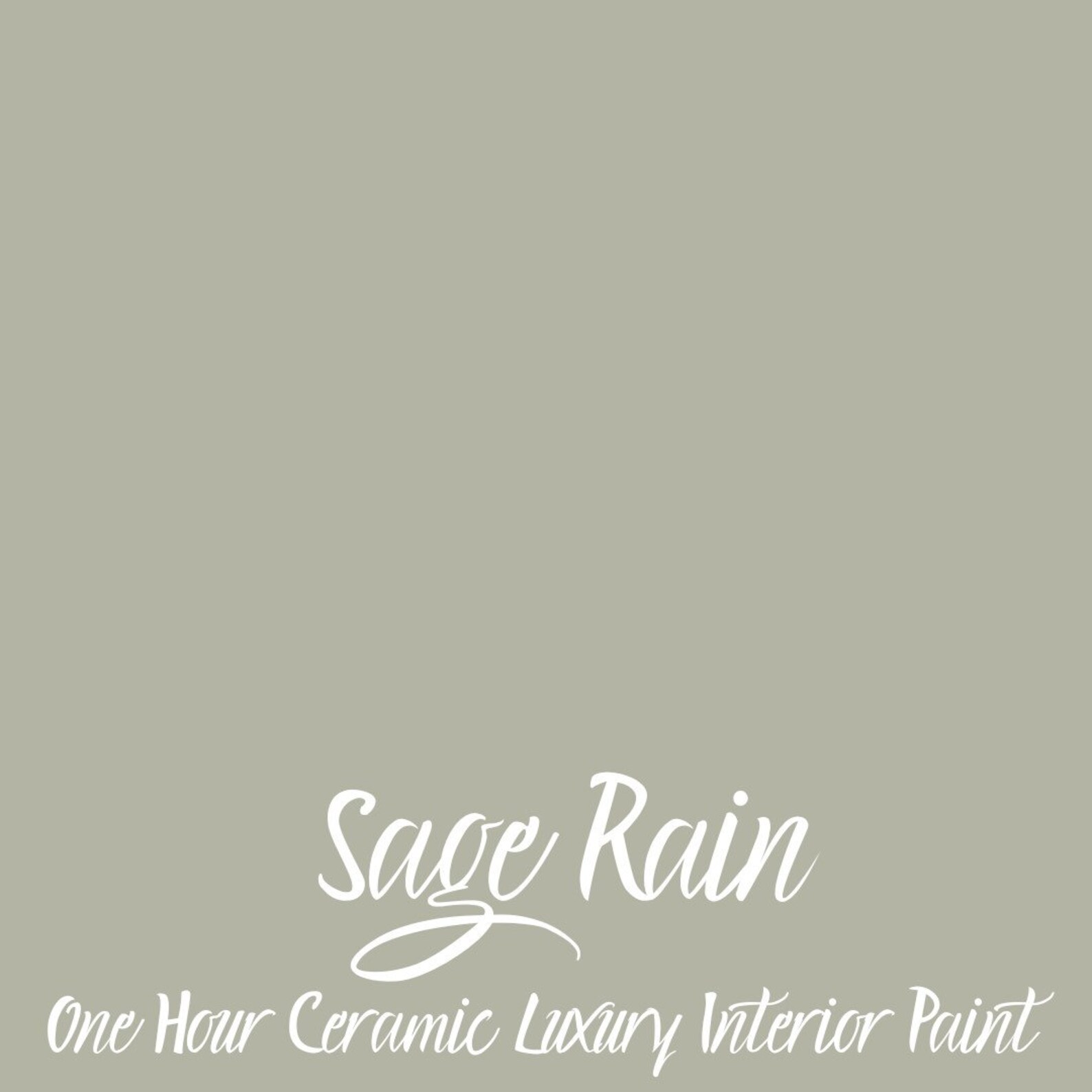 SAGE RAIN One Hour Ceramic Interior Paint Wise Owl Paint - Etsy