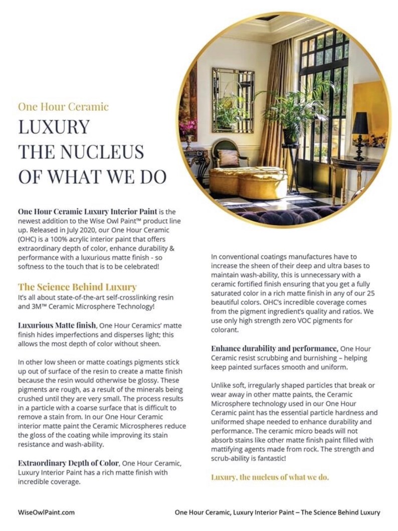 SEA SALT One Hour Ceramic Interior Paint Wise Owl Paint - Etsy