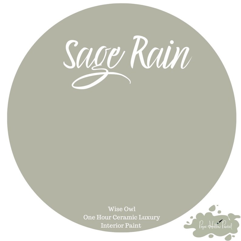 SAGE RAIN One Hour Ceramic Interior Paint Wise Owl Paint - Etsy