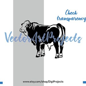 Simmental Bull Clipart Svg Cut File, Cattle Digital Design, Simmental ...