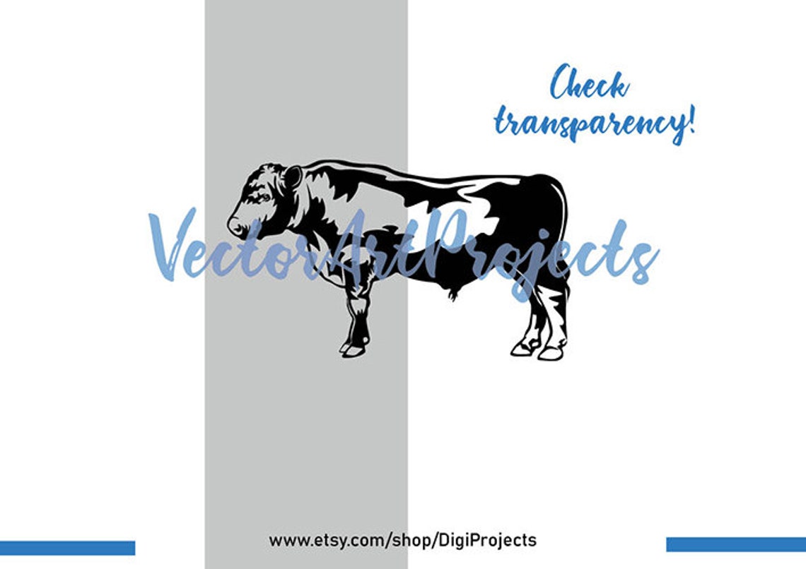 Black Angus Cattle Commercial Svg, Angus Bull Vector Graphic Art, Angus ...