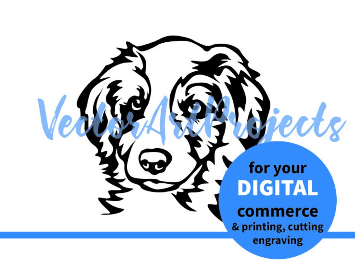 Merle Aussiedoodle Svg Face Clip Art Vector Graphic Digital - Etsy