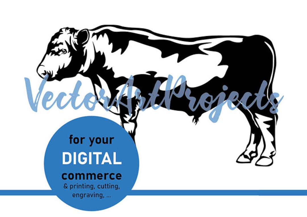 Black Angus Cattle Commercial Svg, Angus Bull Vector Graphic Art, Angus Clipart Cut File ...