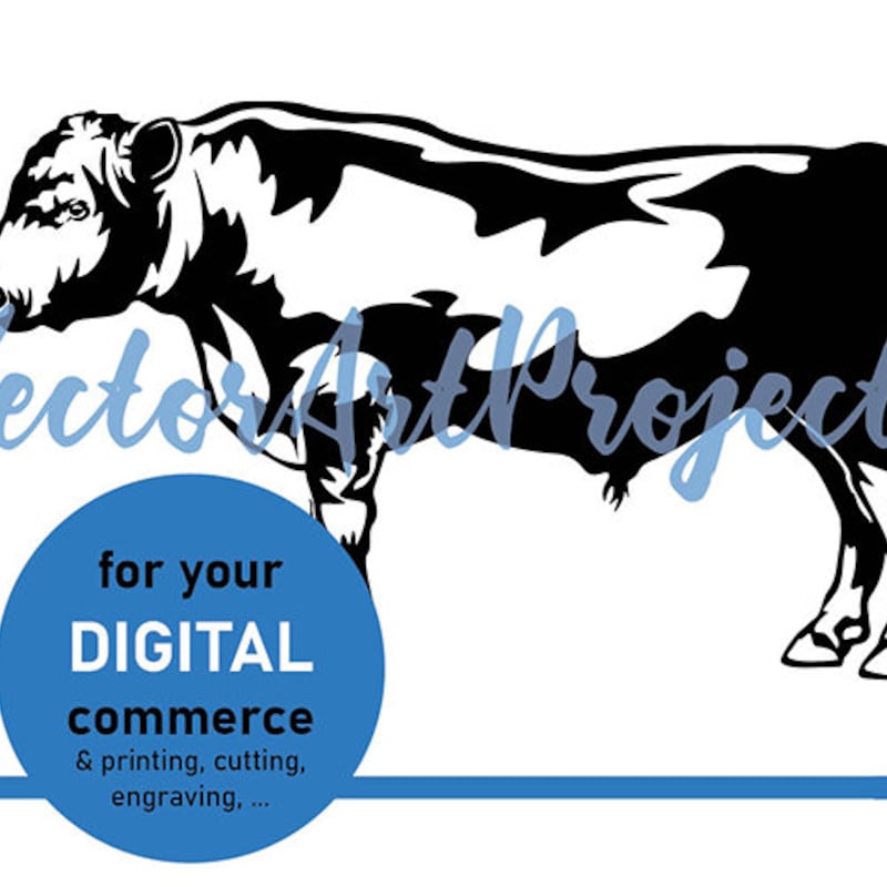 Black Angus Bull Clipart - Etsy UK
