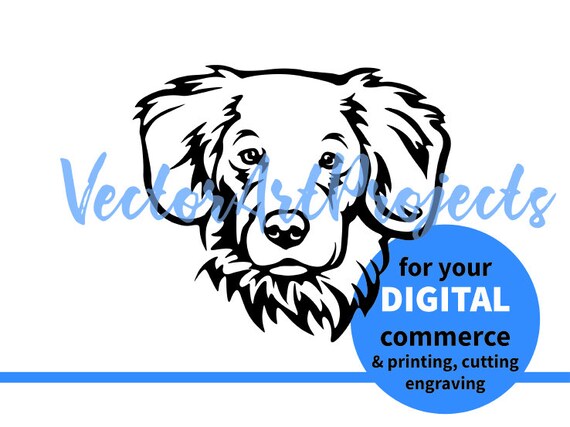 Toller Dog Svg Digital Vector Face Design Toller Cuttable | Etsy