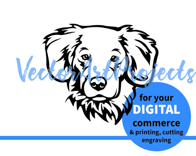 Toller Dog Svg Clipart Portrait Head Nova Scotia Duck Tolling Retriever ...