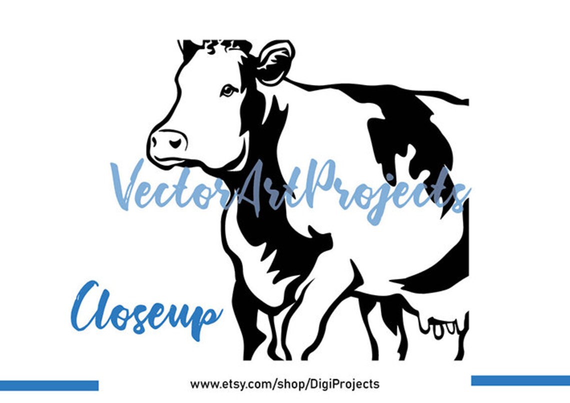 Fleckvieh Cow Running Svg Dairy Cow Vector Graphic Art Cut - Etsy
