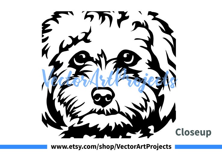 Cavapoo Svg Face Digital Clip Art Illustrtion, Cavapoo Dog Cuttable ...