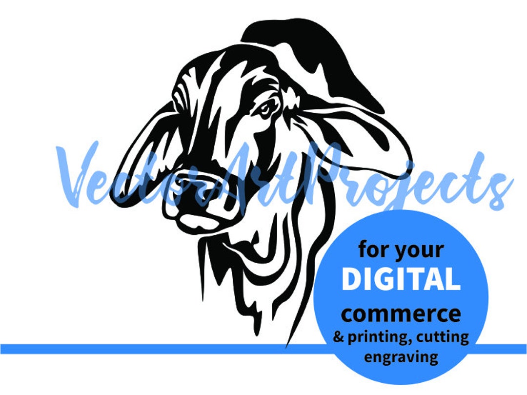 Brahman Cow Svg Digital Design Vector Graphic Art Farm Animal Clipart ...