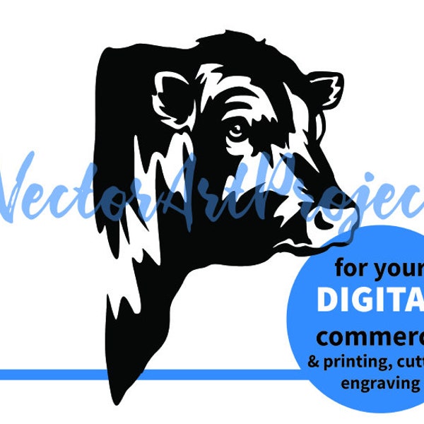 Angus Cattle Canvas - Etsy