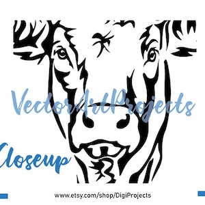 Simmental Cow Svg Portrait Clipart Cut File, Simmental Cattle Cricut ...