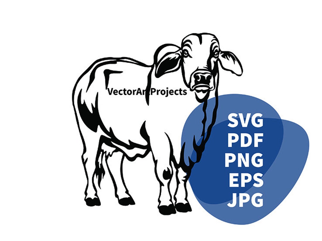 Brahman Cow Head Svg Portrait Cattle Vector Graphic Art, Farm Animal ...