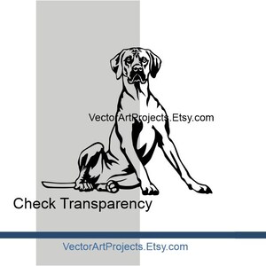Rhodesian Ridgeback Svg, Sitting Dog Cuttable Clip Art File, Ridgebeack ...