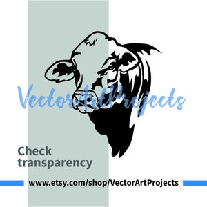 Beefmaster Bull Svg Vector Graphic Icon Clip Art, Cattle, Farm Animal ...