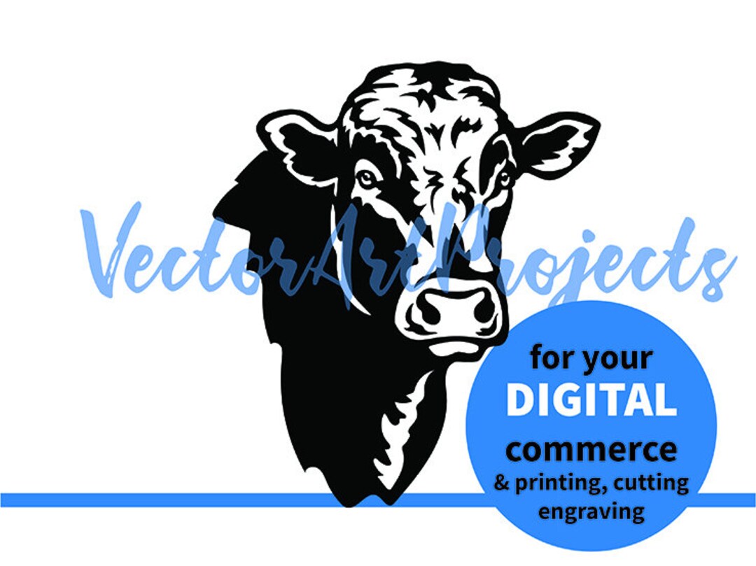 South Devon Cattle Svg Devon Bull Vector Graphic Art, Beef Cattle Cut ...