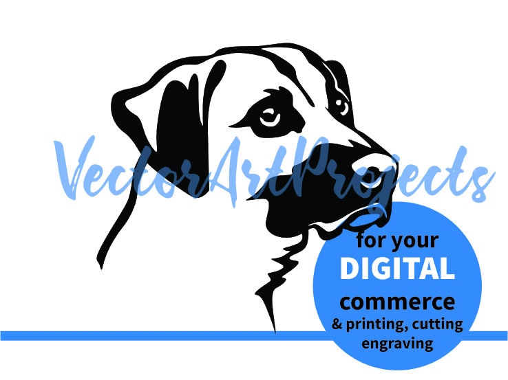Black Mouth Cur Dog Face Svg Cuttabe Vector Grahic Black - Etsy