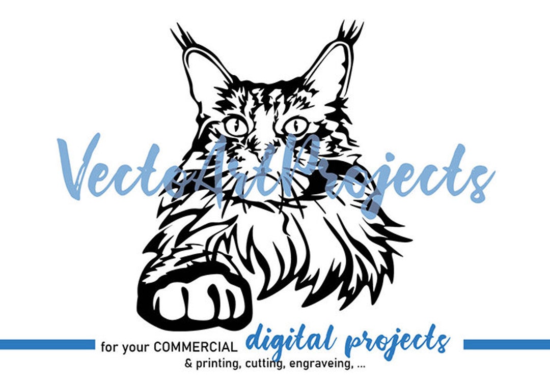 Maine Coon Cat Svg Clipart, Digital Commercial Use, Maine Coon Cut File ...