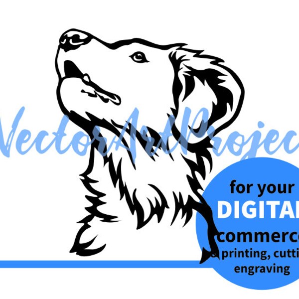 Nova Scotia Duck Tolling Svg - Etsy